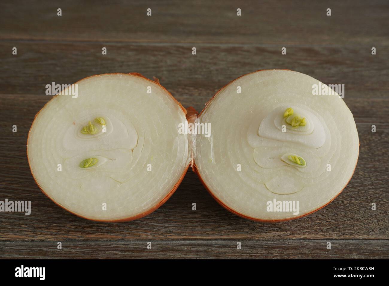 Onion cut in half, inner white part, isolated Stock Photo - Alamy