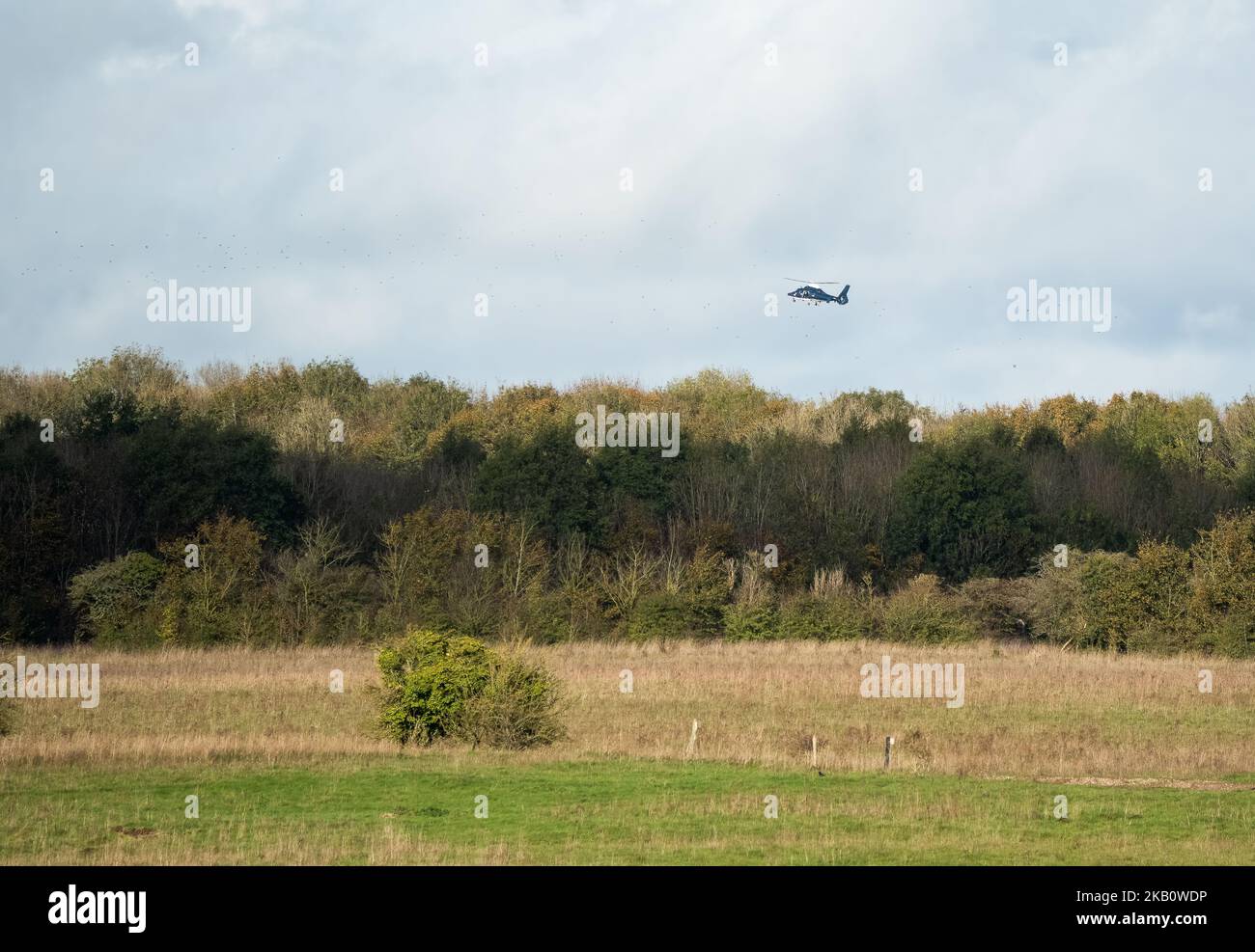 A British SAS Special Air Service Dauphin helicopter (658 squadron ...