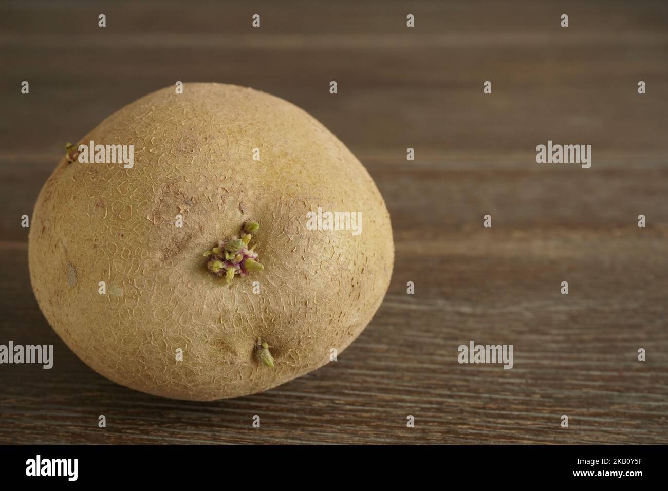 Sweet potato leaves growing hi-res stock photography and images - Alamy