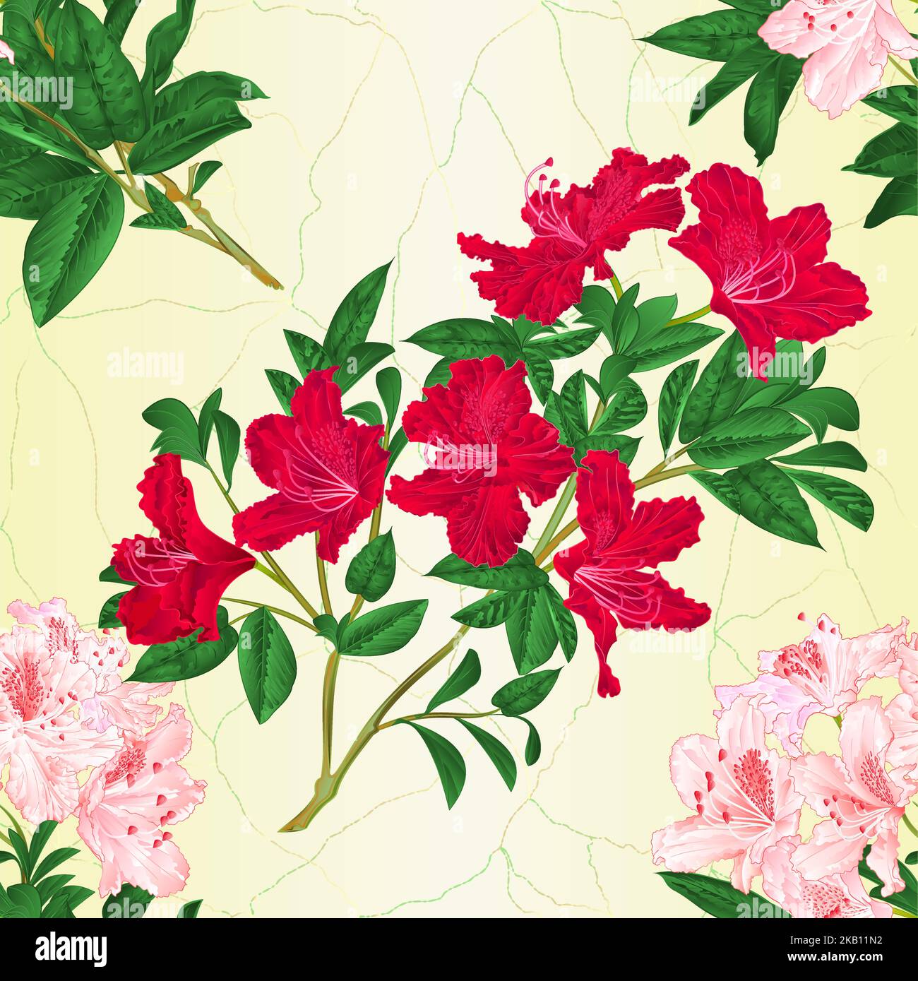 Seamless texture branch light pink and red flowers rhododendron ...