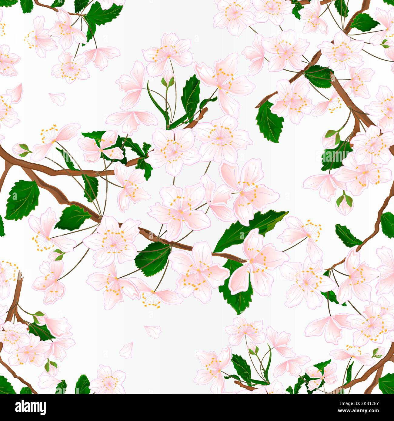 Seamless texture Wild Cherry branch natural background vector botanical ...