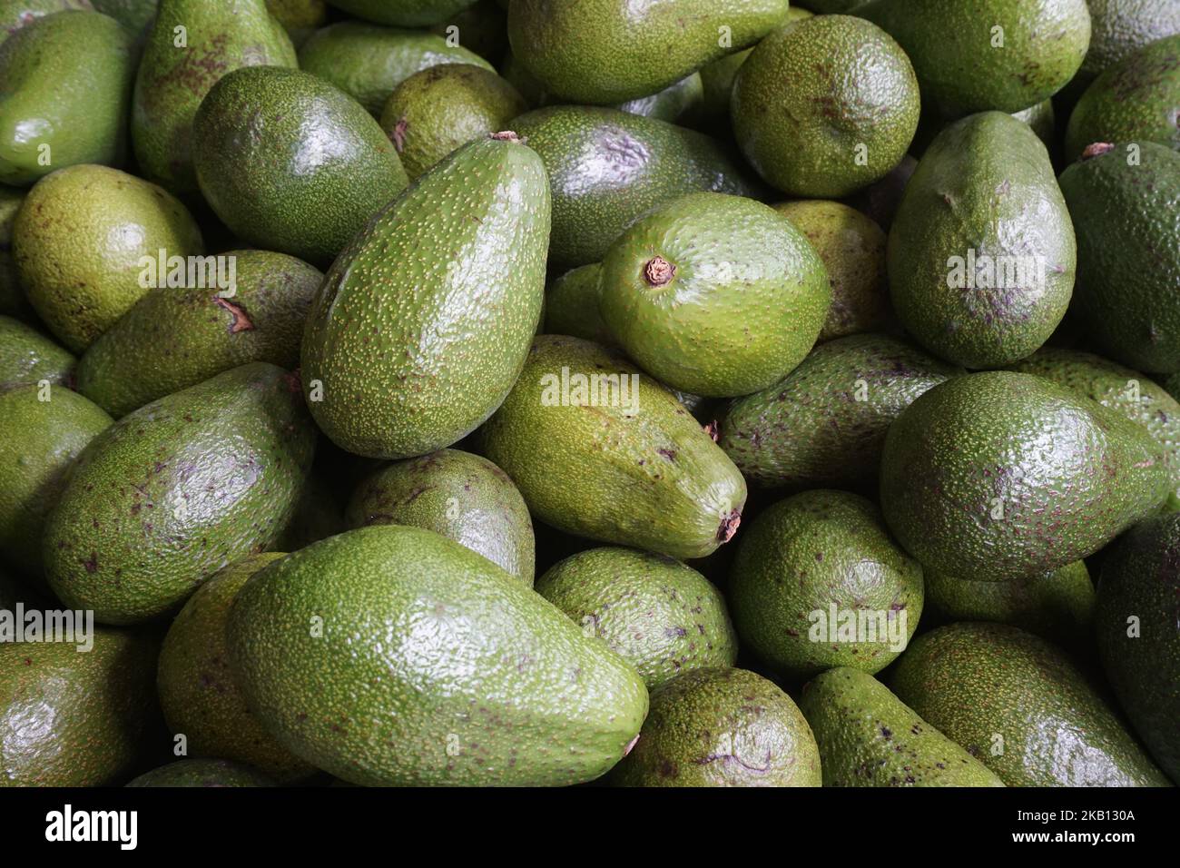 Avocado fruits hi-res stock photography and images - Alamy