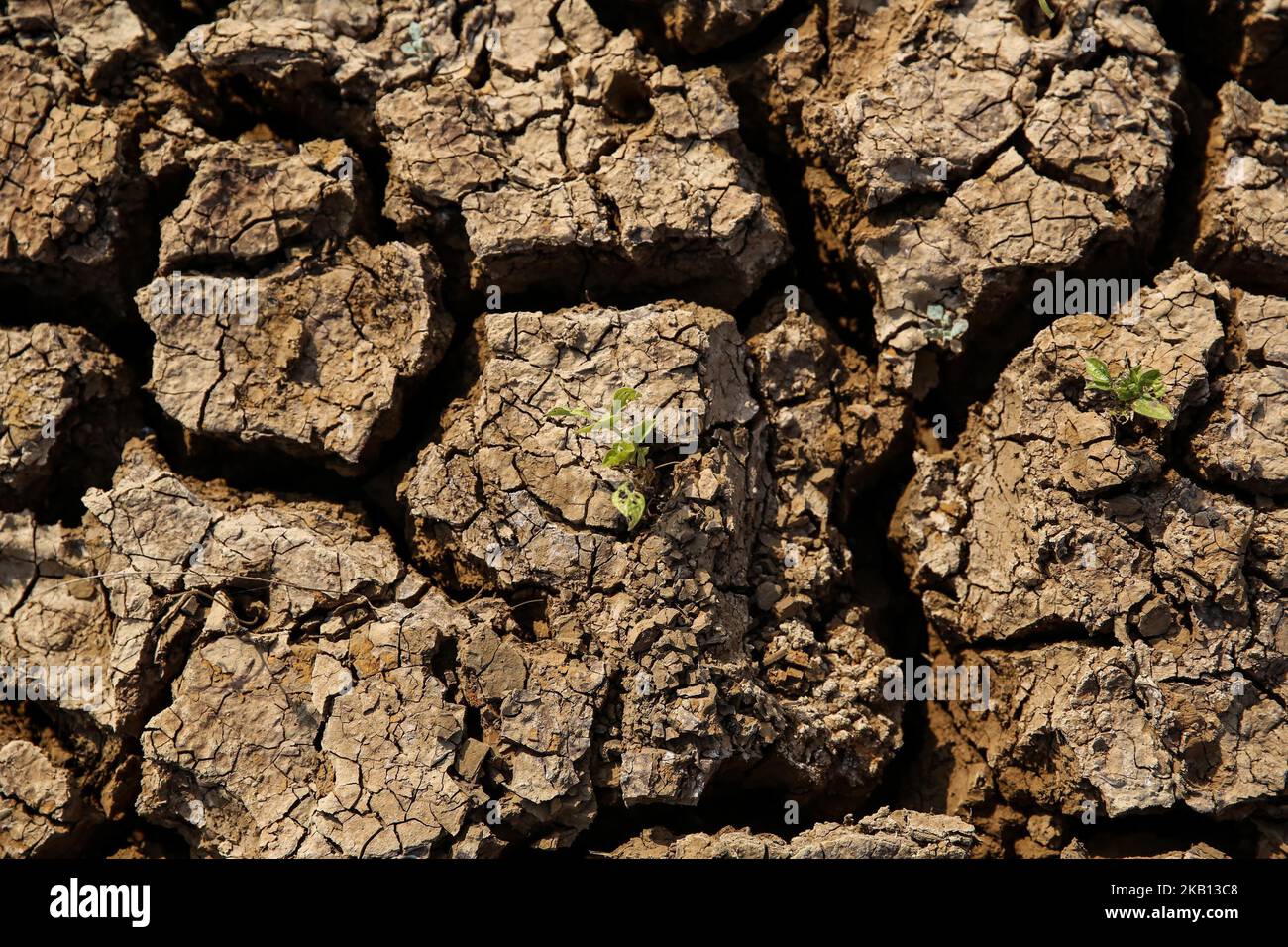 General views shows the dried up dam in Sumedang Regency, West Java ...