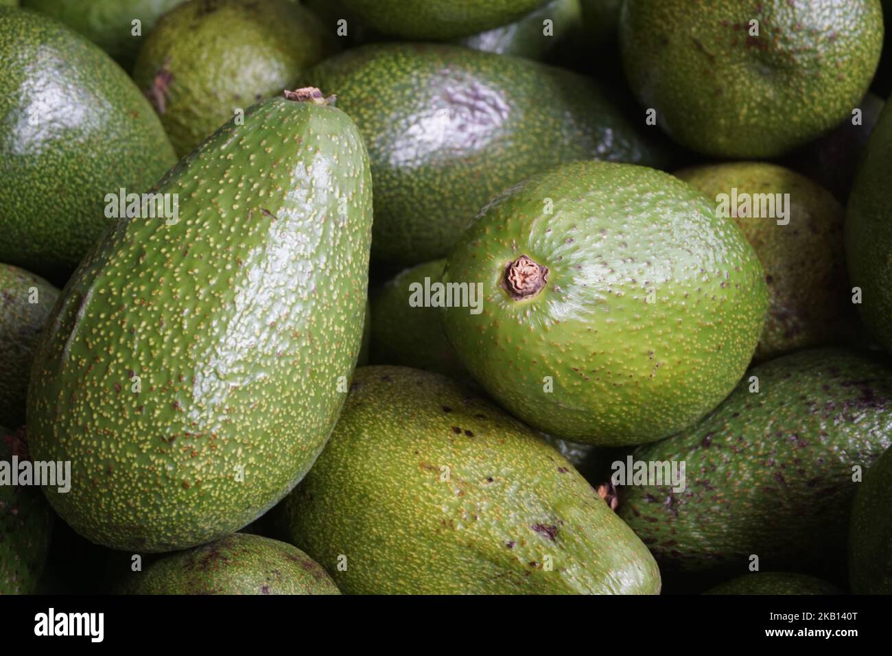 stacked avocado fruits, close up Stock Photo - Alamy
