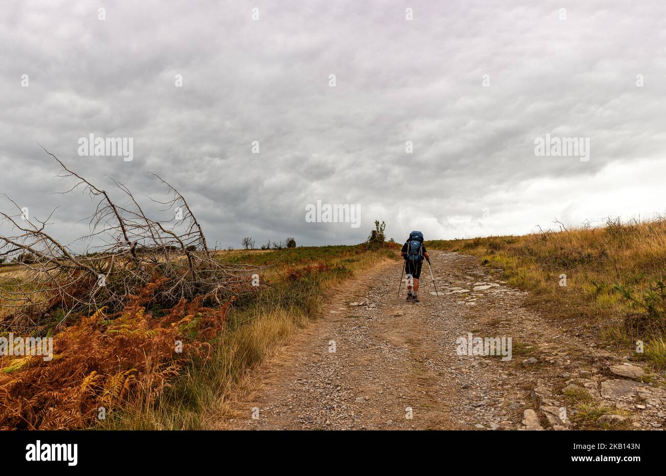 Pilgrim walking on the path of Way of St James with a stormy sky ...