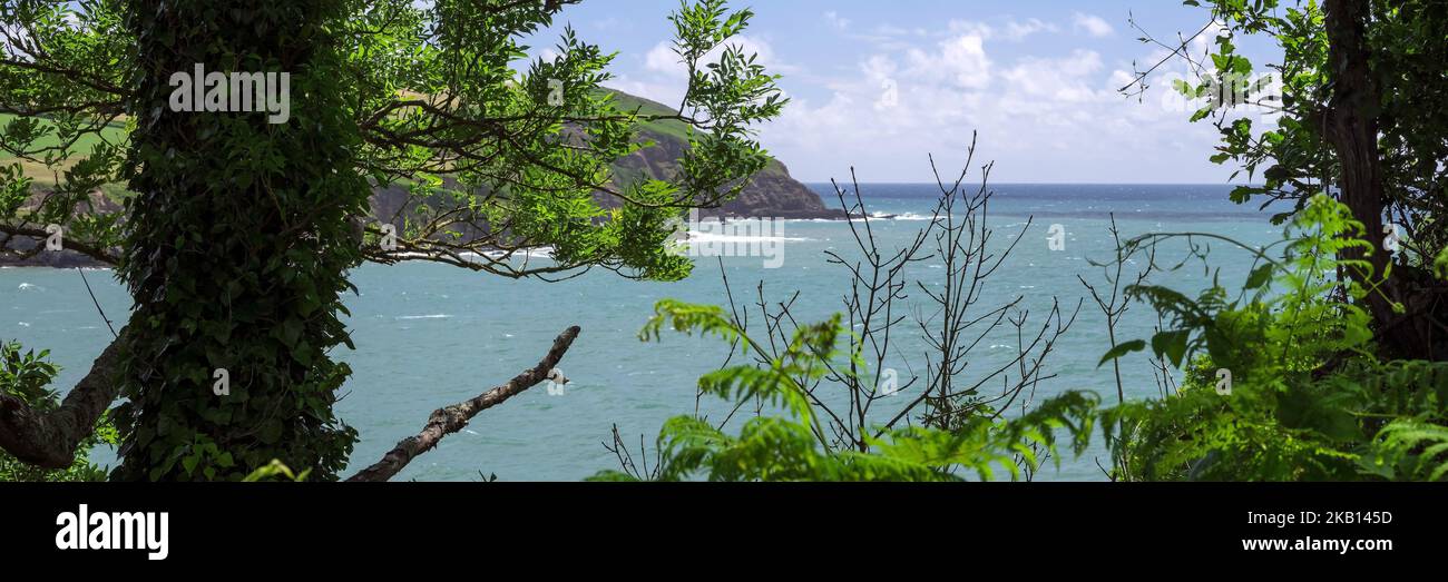 View the sea and cliff at Mothecombe, Devon UK Stock Photo - Alamy