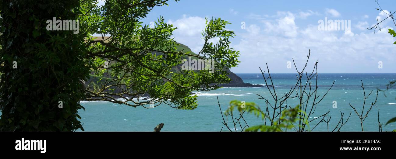 Mothecombe devon hi-res stock photography and images - Alamy