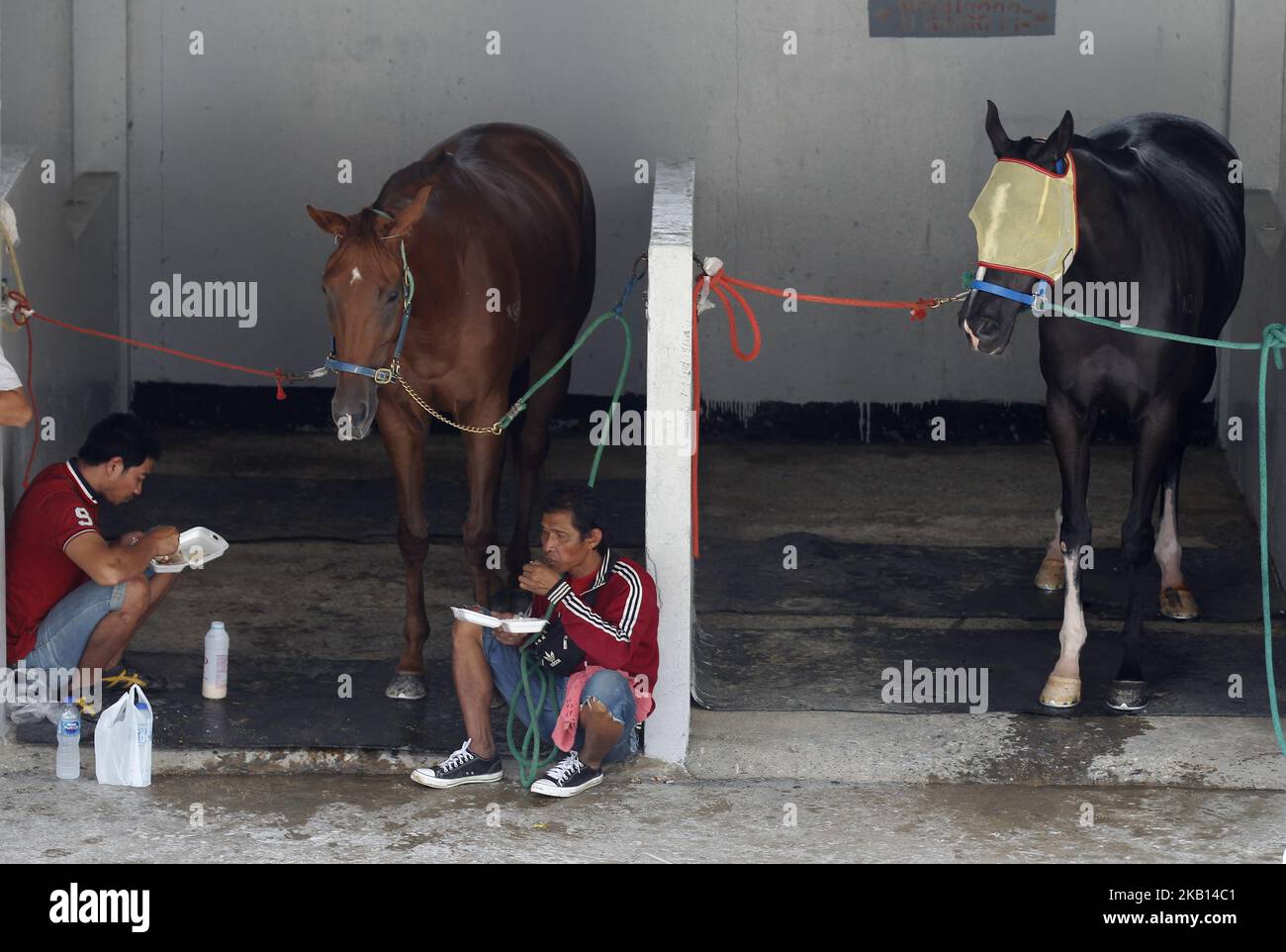 Thai stablemen have their lunch in front of horses before a horse ...
