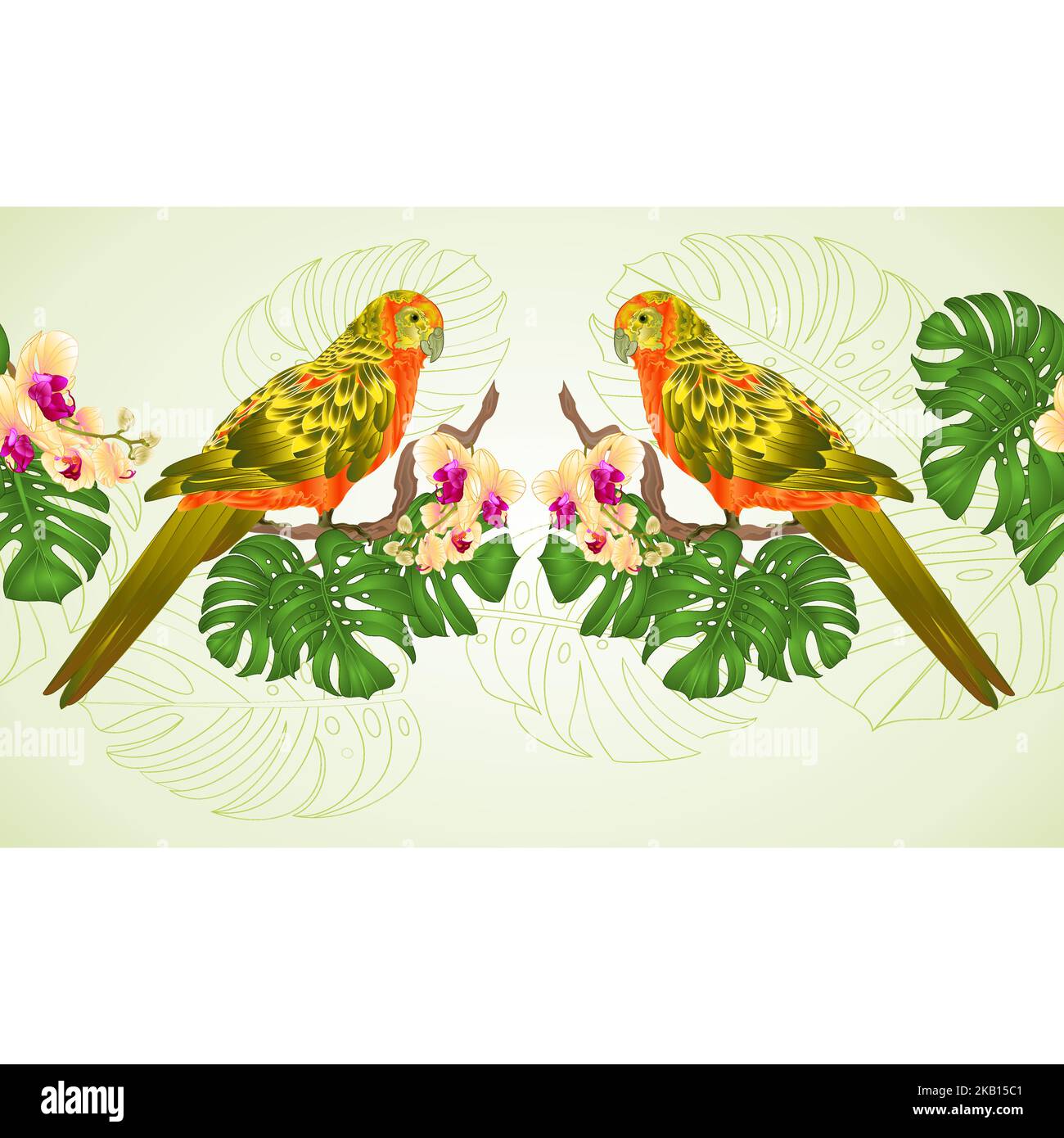 Floral border seamless background Sun Conure Parrot tropical exotic ...