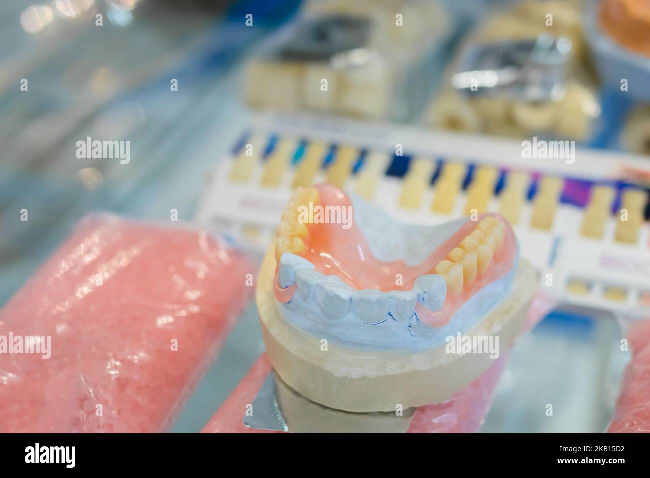 Plastic anatomical human jaw, demonstration model for education Stock ...