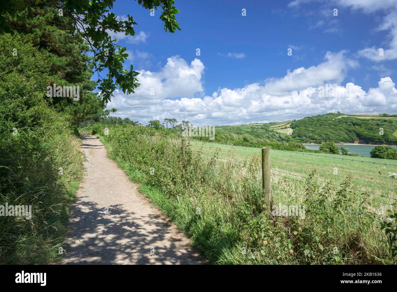 Mothecombe devon hi-res stock photography and images - Alamy