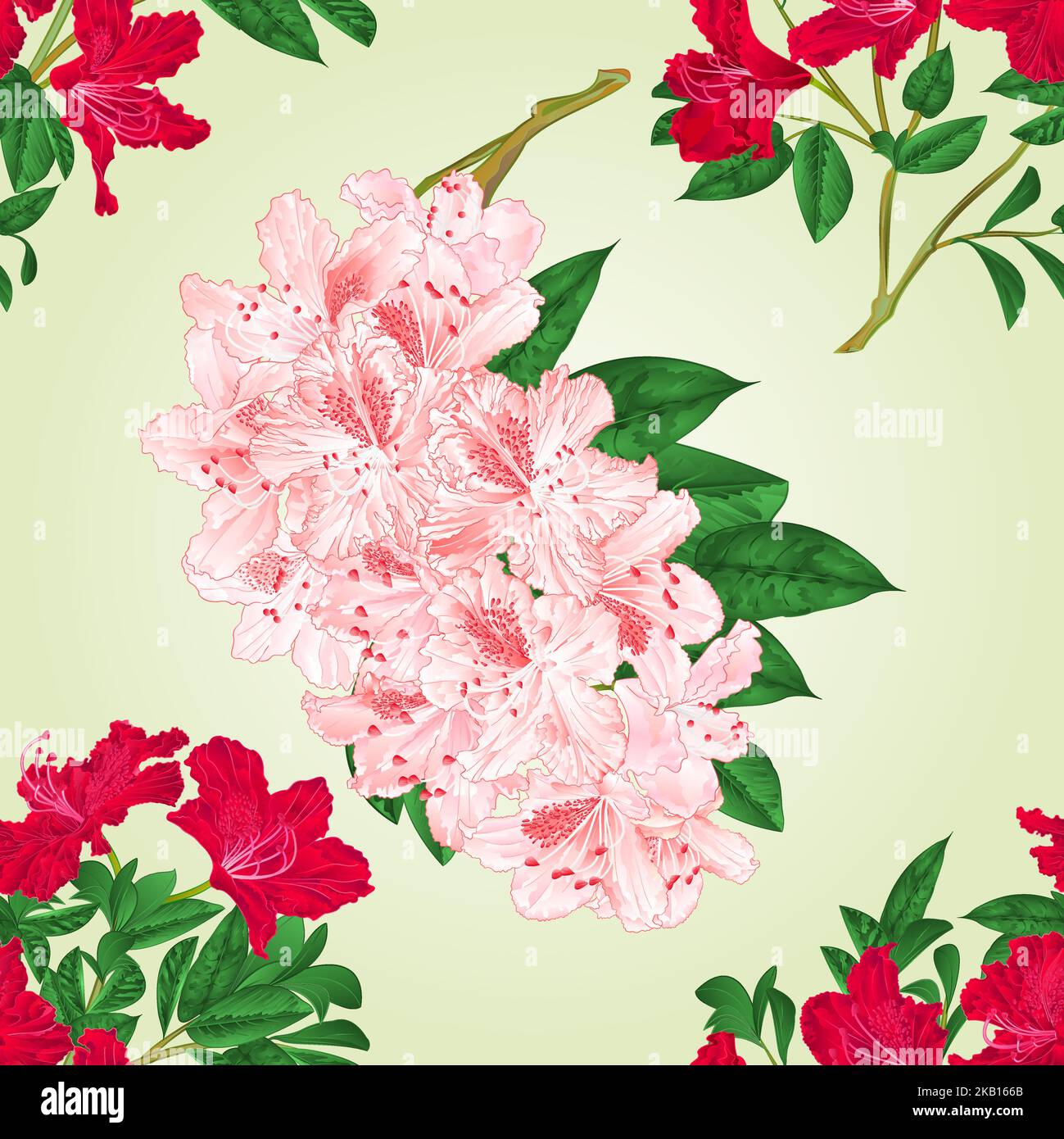 Seamless texture rhododendrons twigs with red and light pink flowers ...