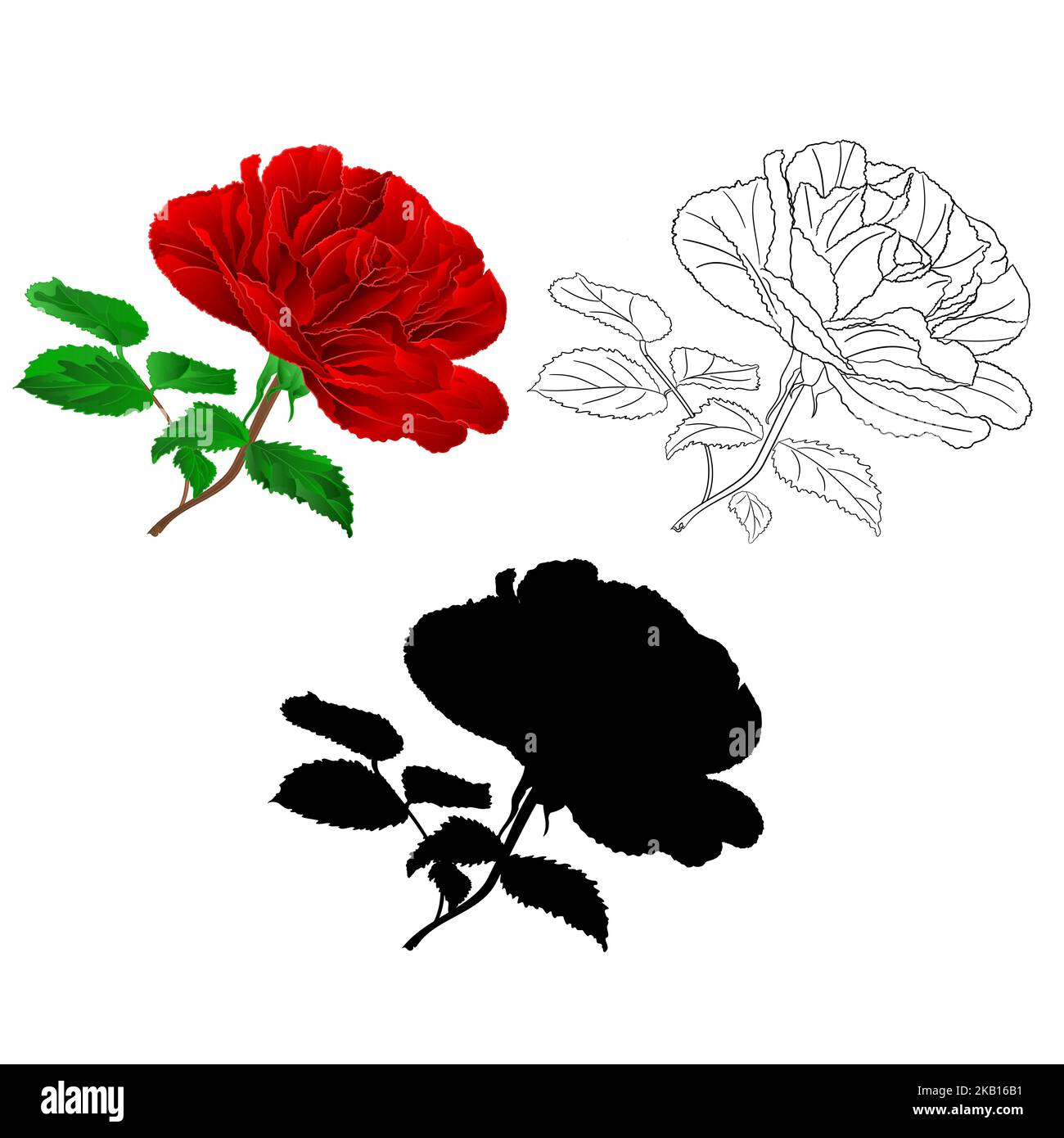 Simple red rose stem with leaves natural and outline and silhouette ...