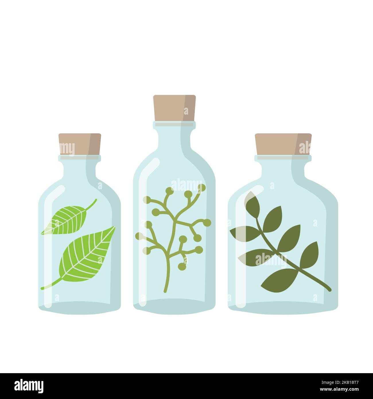 Natural remedies vector vectors hi-res stock photography and images - Alamy