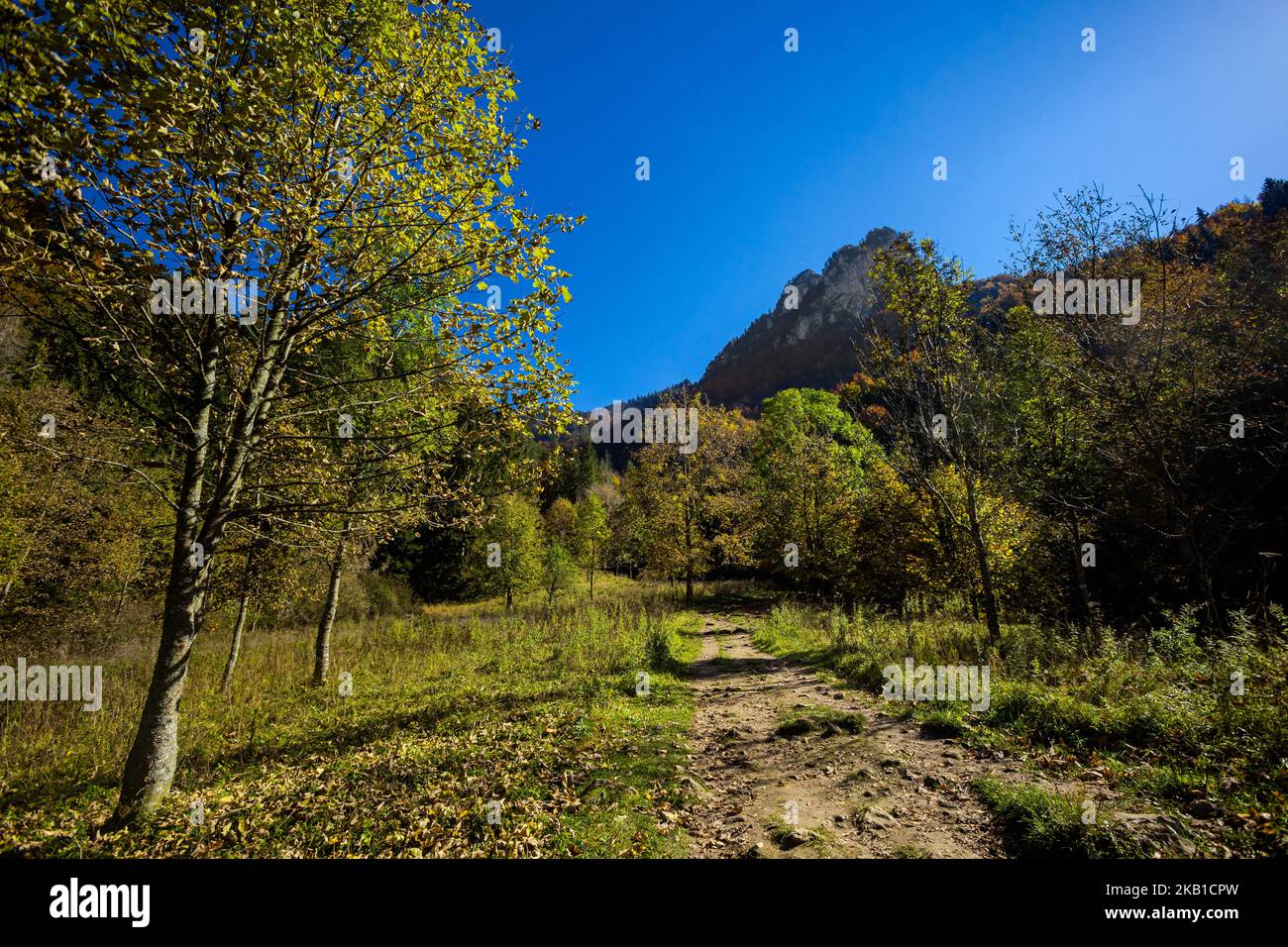 Beautiful path to Maly Rozsutec from Biely Potok through Nove, Horne ...