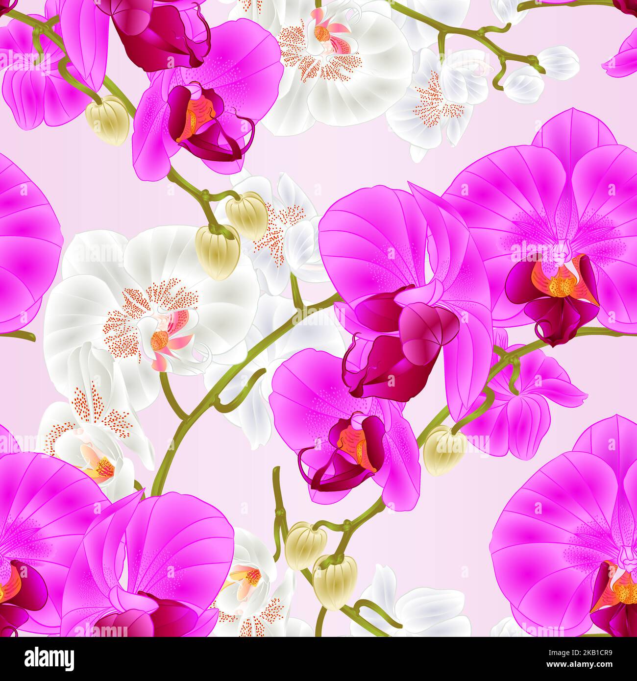 Seamless Texture Stem With Flowers And Buds Beautiful Orchid