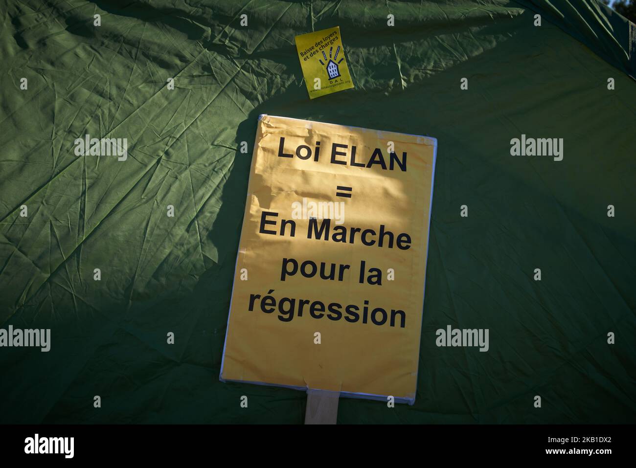 Dicline hi-res stock photography and images - Alamy