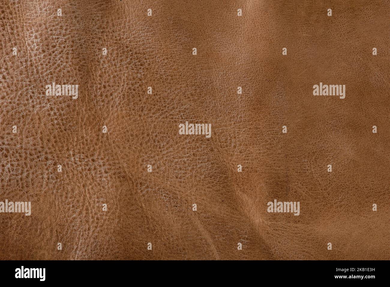 Texture of brown leather. Texture of natural brown leather. Background ...