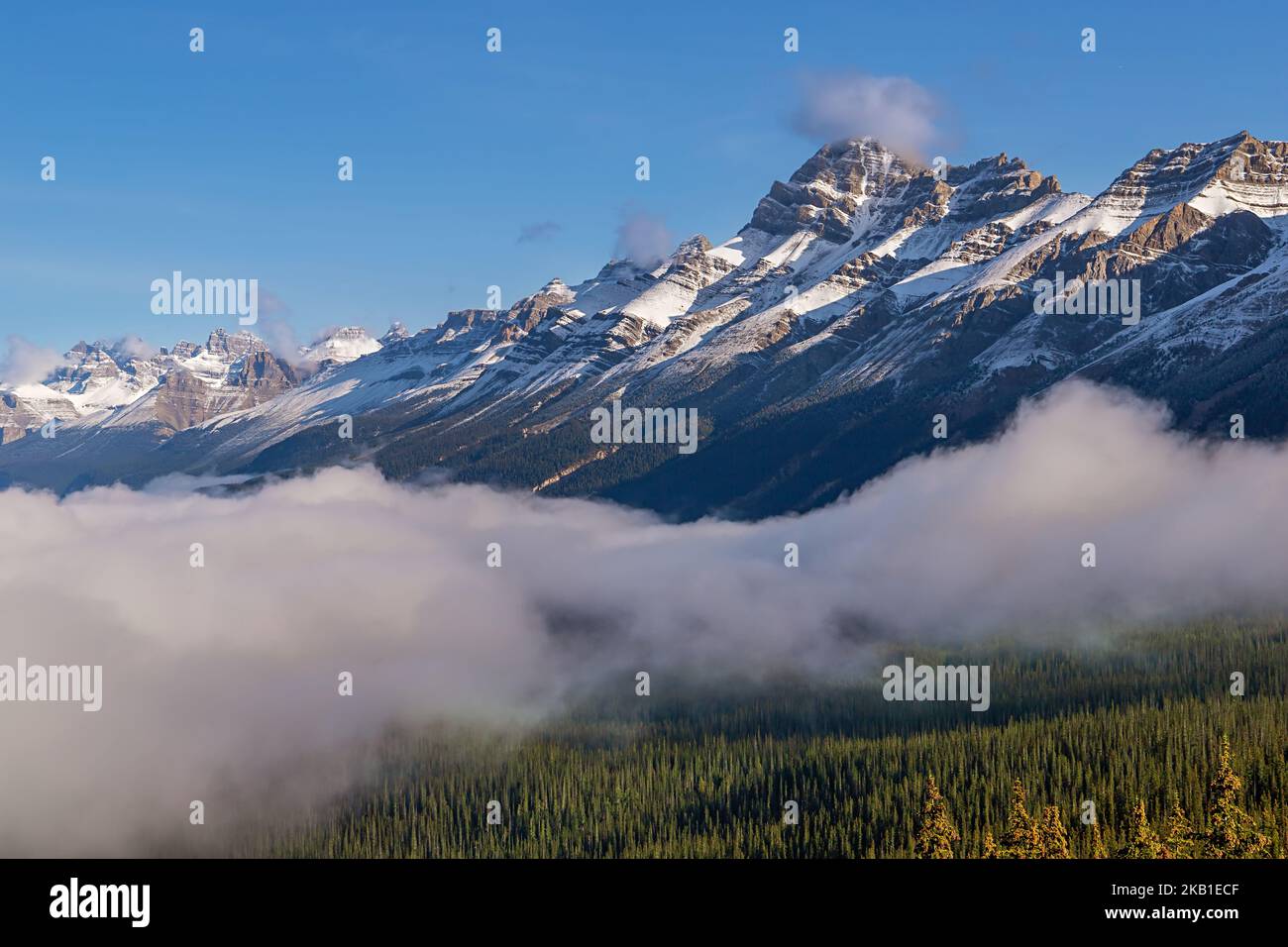 Banff trees mountains hi-res stock photography and images - Alamy