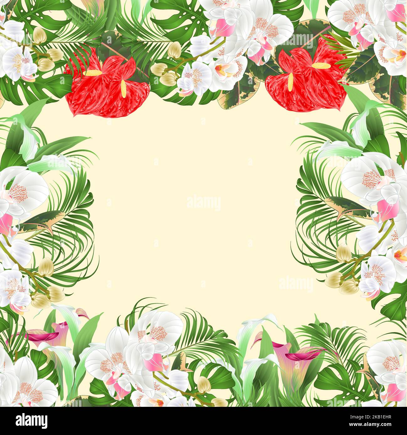 Floral frame bouquet with tropical flowers floral arrangement, with ...