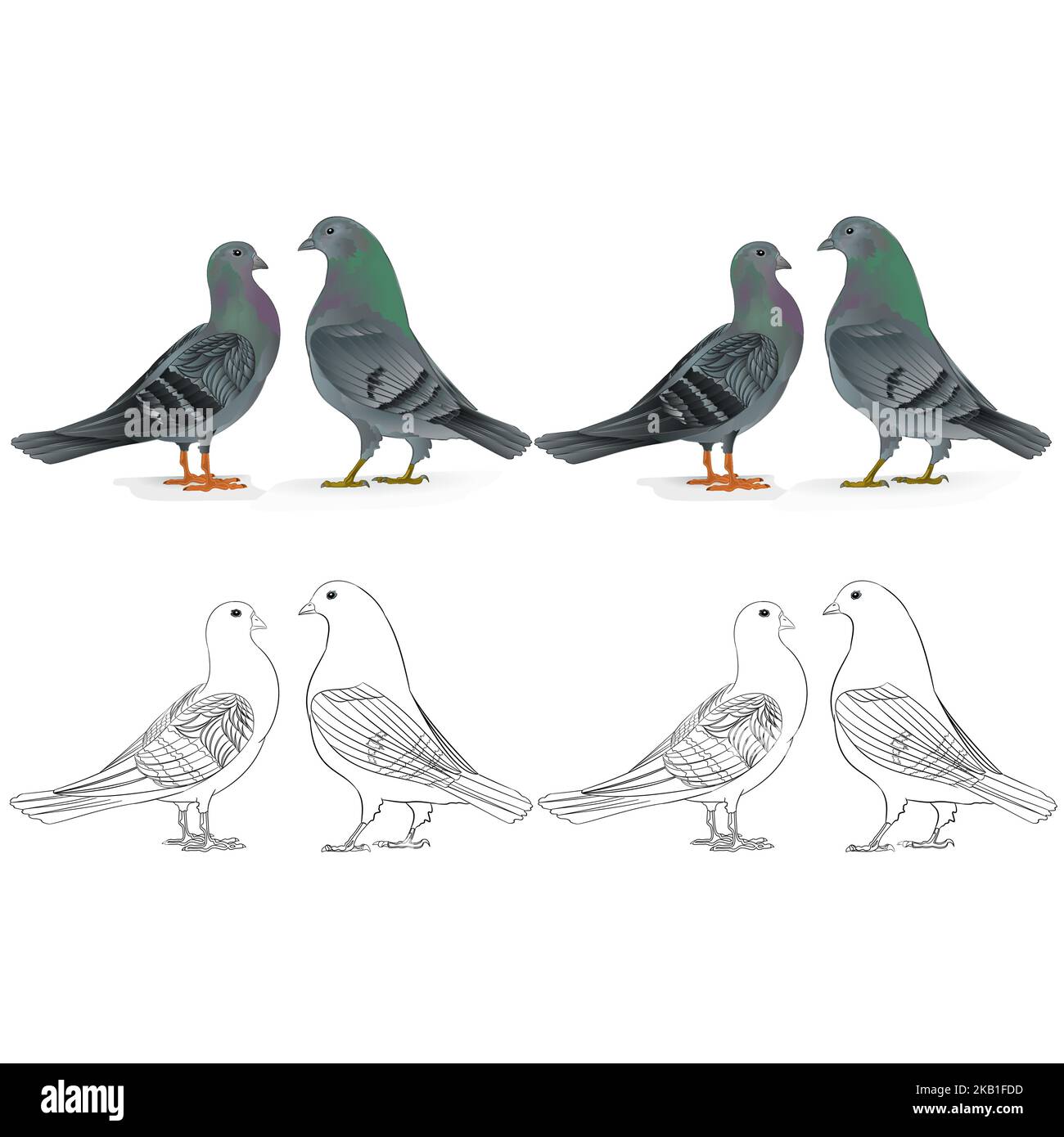 Border design with wild animals illustration hi-res stock photography ...