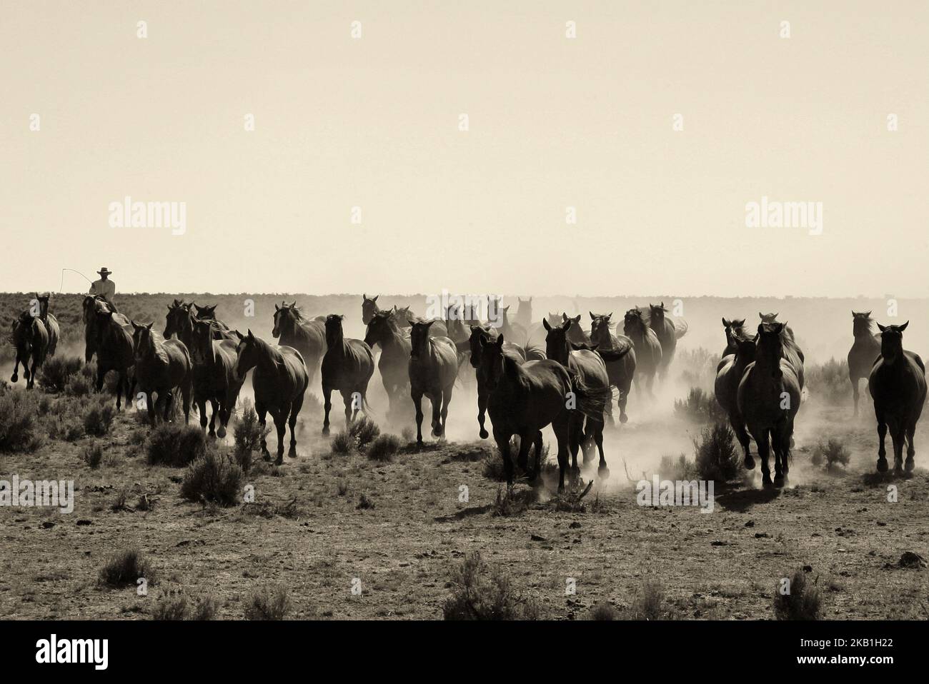 I l ranch hi-res stock photography and images - Alamy