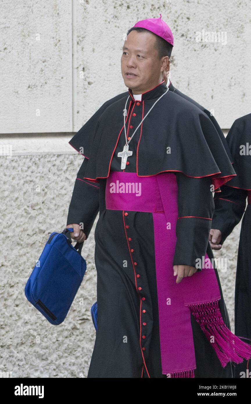 Mgr Guo Jincai joins Vatican synod. For first time chinese bishops join ...