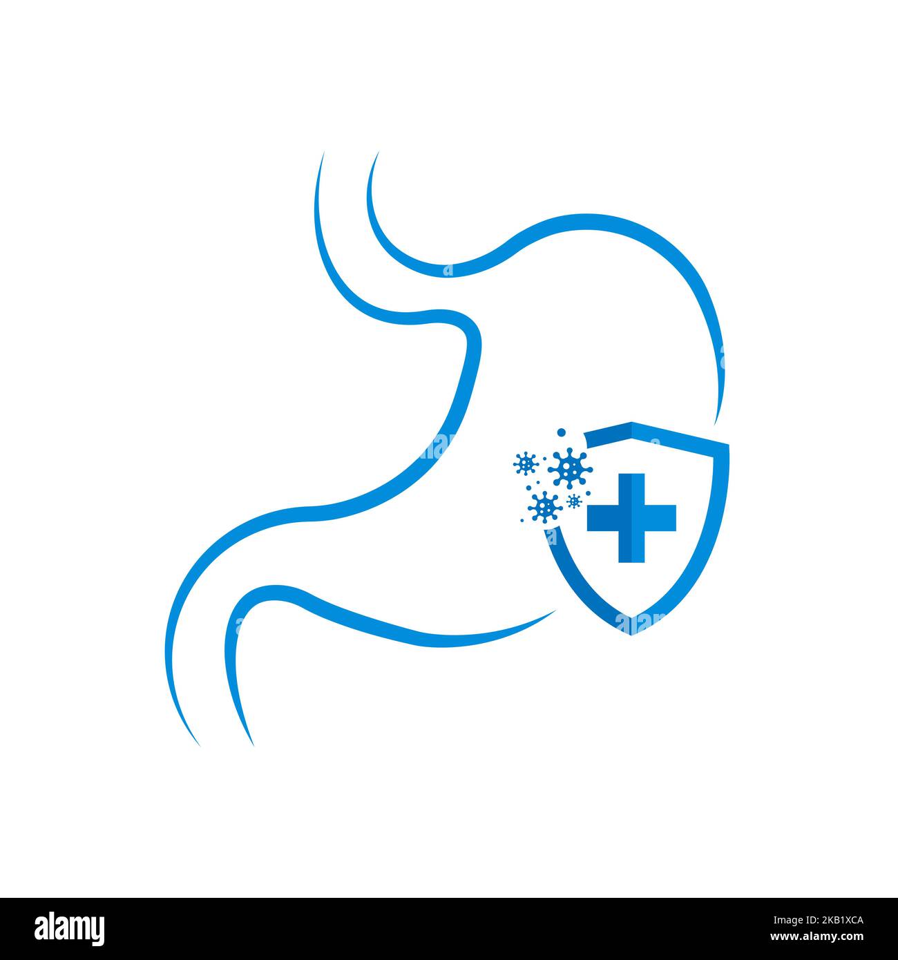 Shield and stomach. Stomach protection. Healthy preserved intestine ...