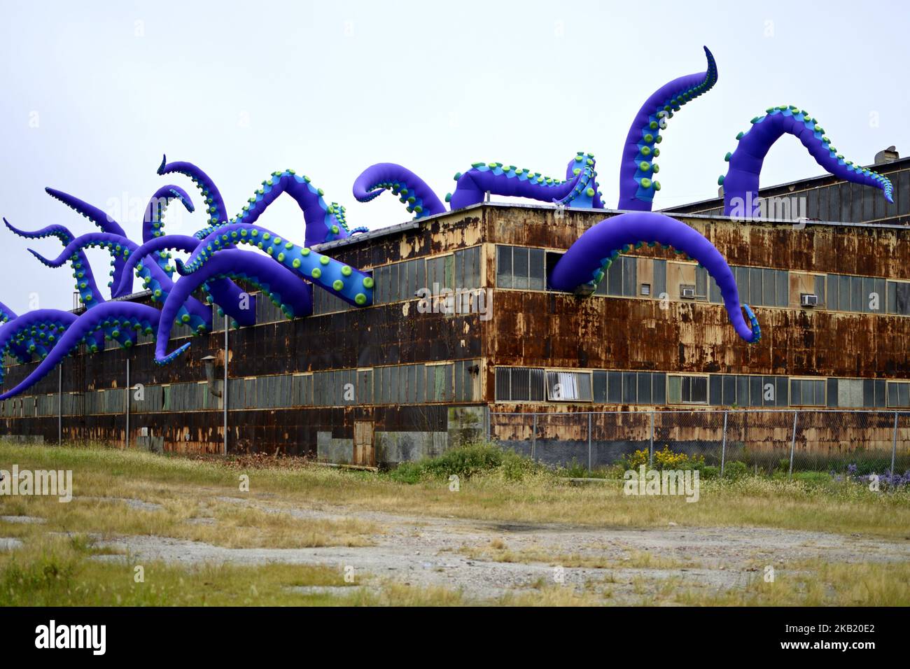 Inflatable tentacles of a commissioned art-work by British artist Pedro ...