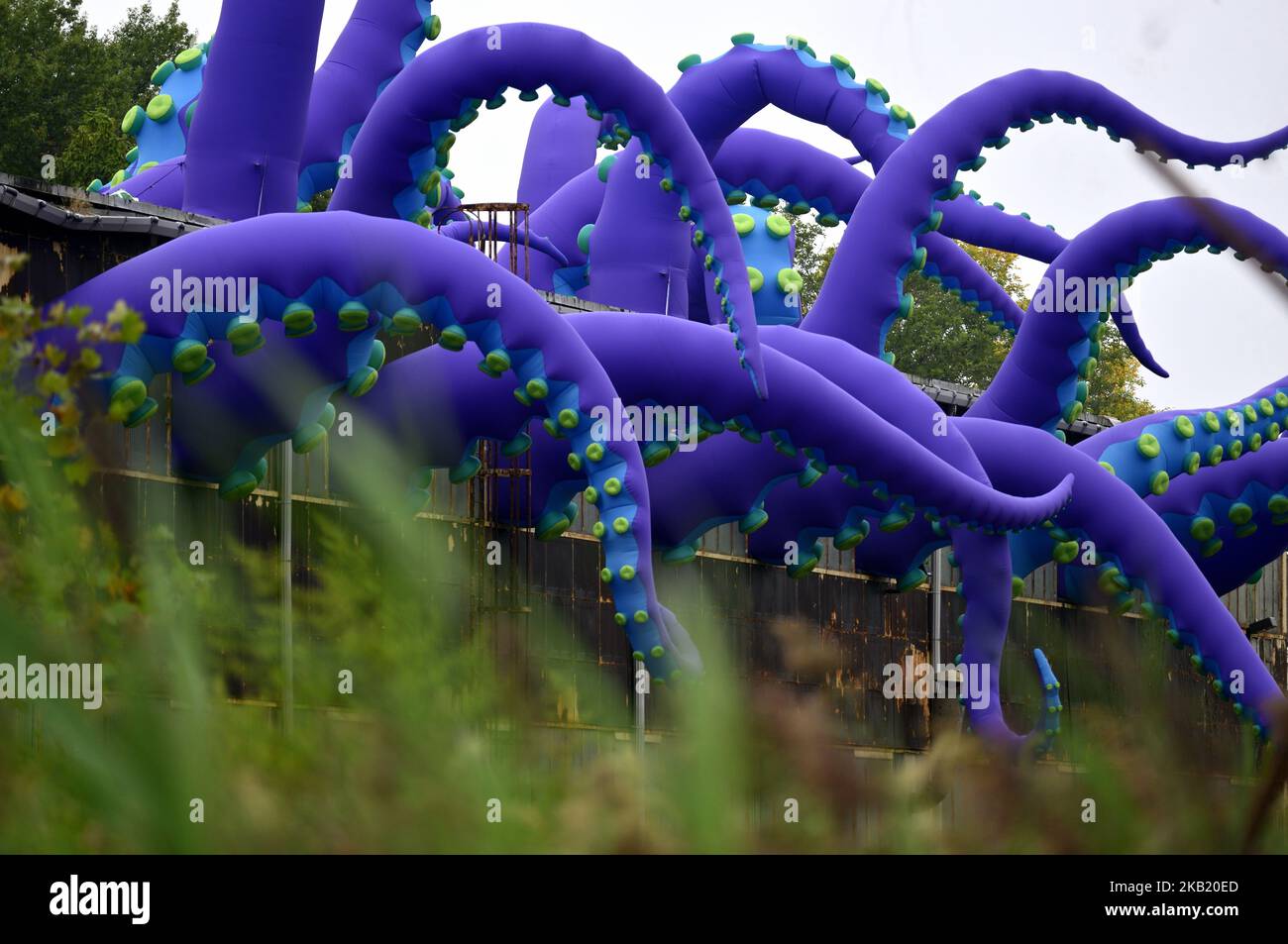 Inflatable tentacles of a commissioned art-work by British artist Pedro ...