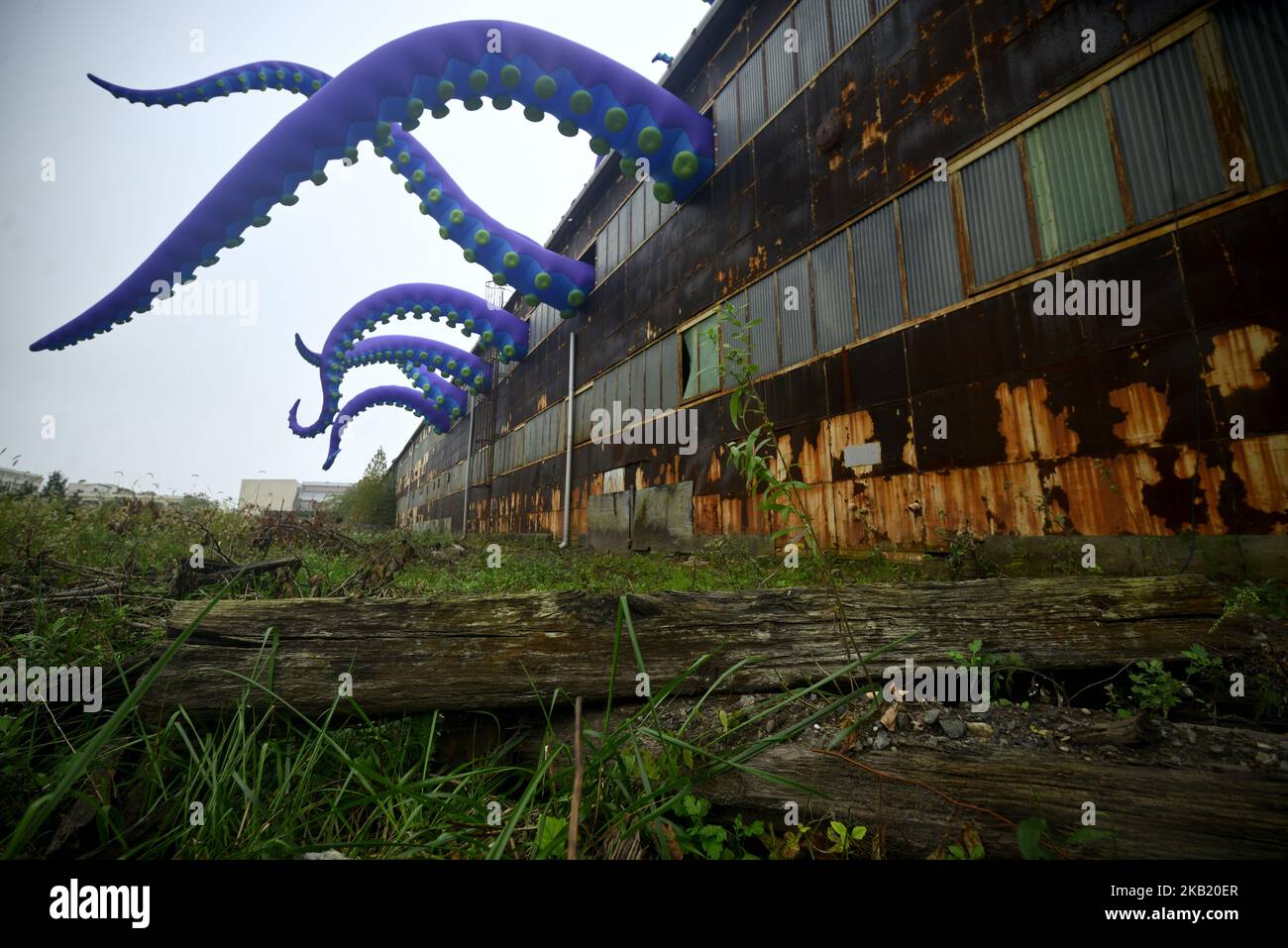 Inflatable tentacles of a commissioned art-work by British artist Pedro ...