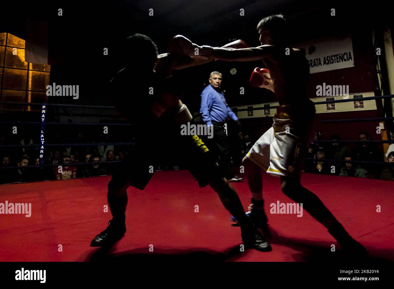 Boxing boxer sport box gloves gym combat lavinanza chile hi-res stock ...