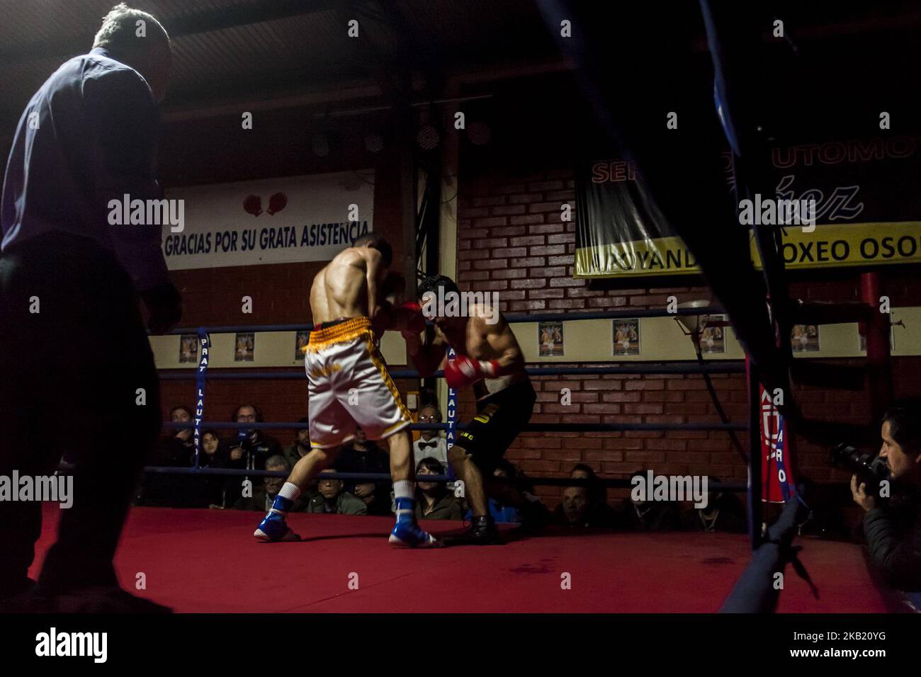 Boxing boxer sport box gloves gym combat lavinanza chile hi-res stock ...