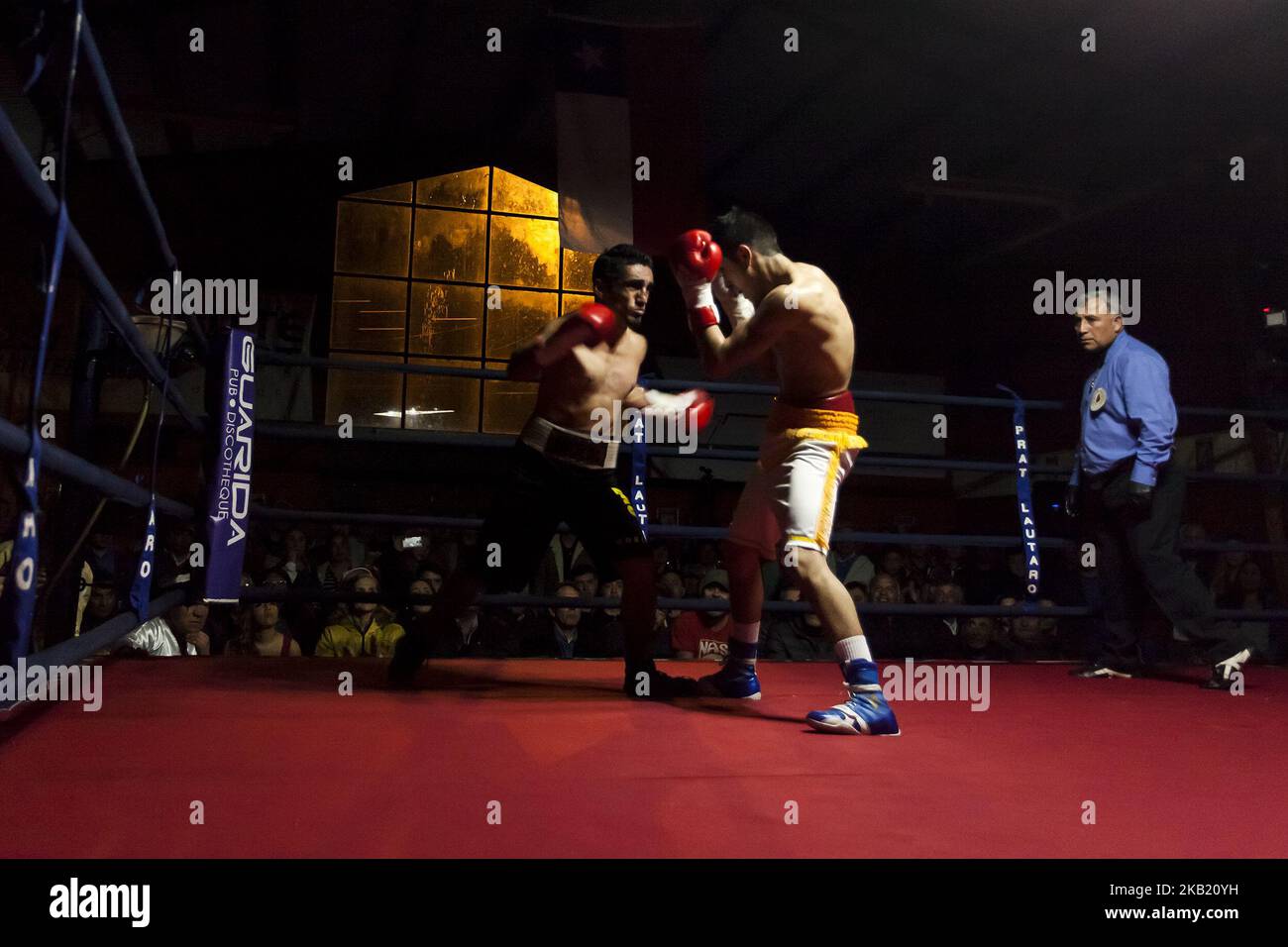 Boxing boxer sport box gloves gym combat lavinanza chile hi-res stock ...