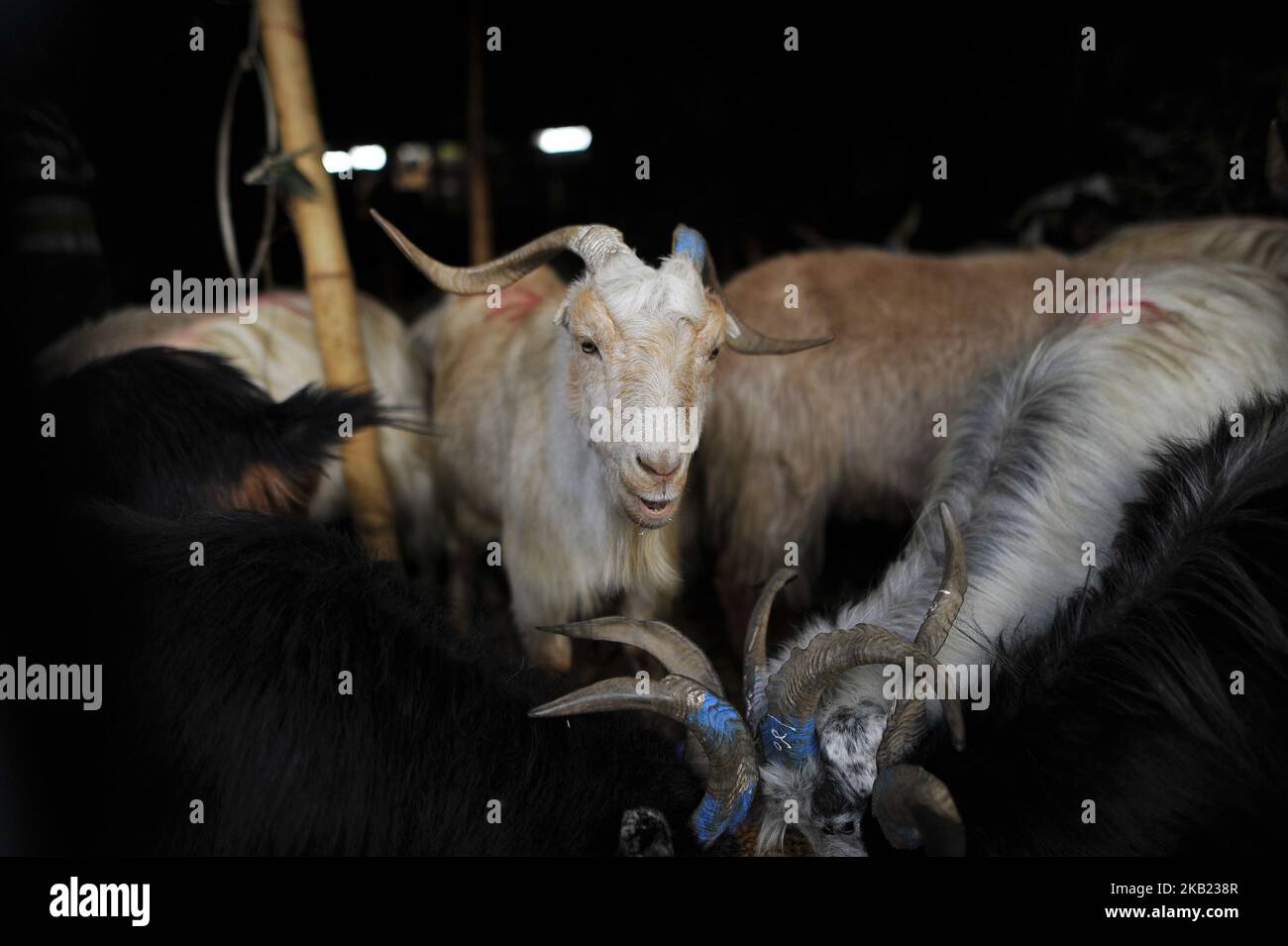 Dashain family hi-res stock photography and images - Alamy