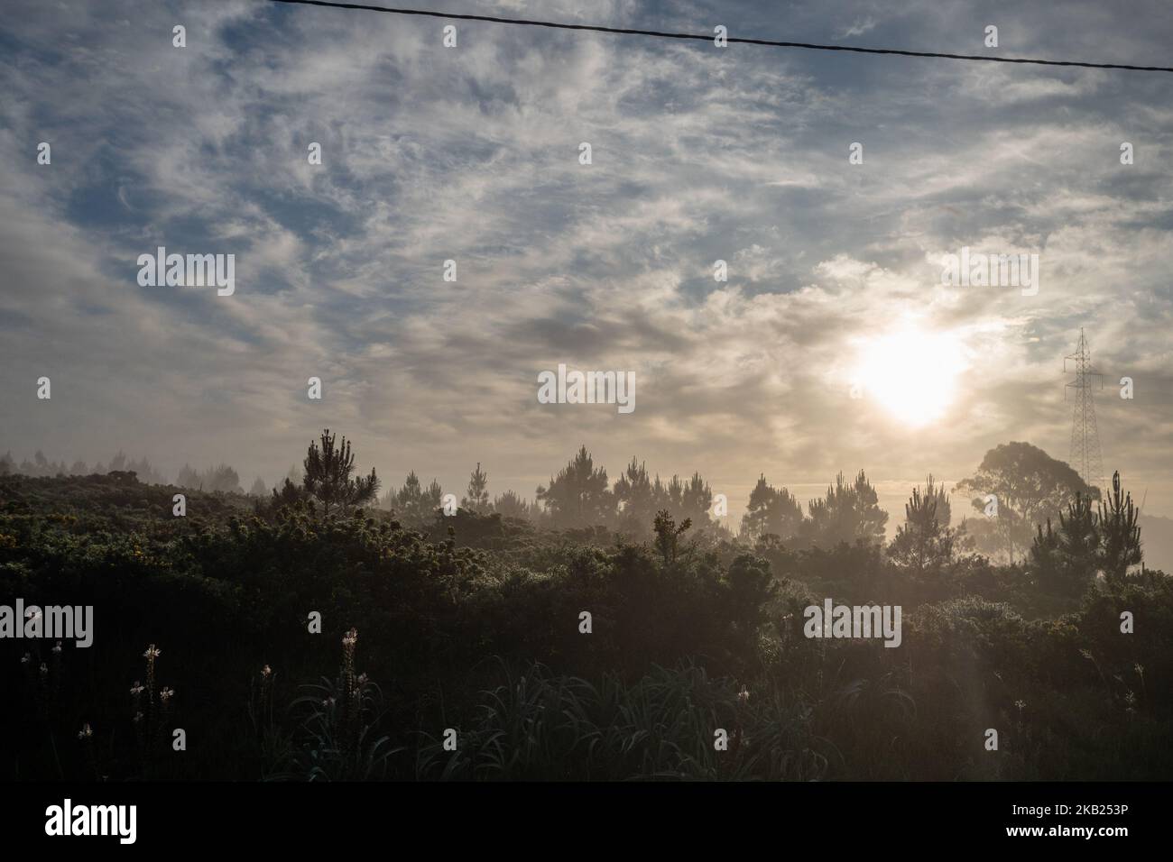 May-June 2018, Spain. The Camino de Santiago (the Way of St. James) is ...