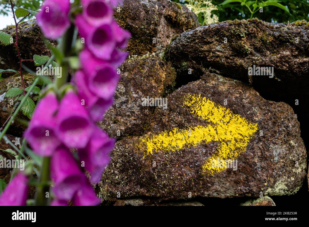 May-June 2018, Spain. The Camino de Santiago (the Way of St. James) is ...