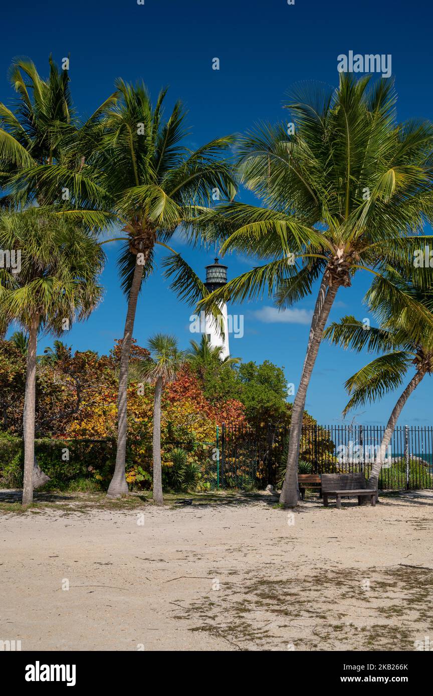 Cape Florida Lighthouse, Palm trees, Sunny day sand - Key Biscayne ...