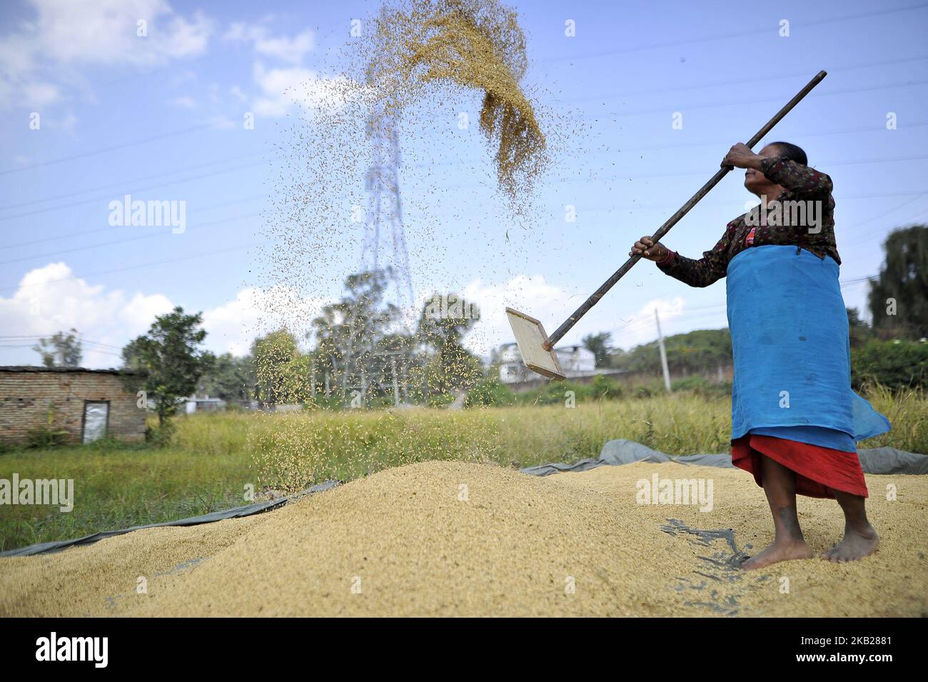 Rural woman winnowing wheat hi-res stock photography and images - Alamy