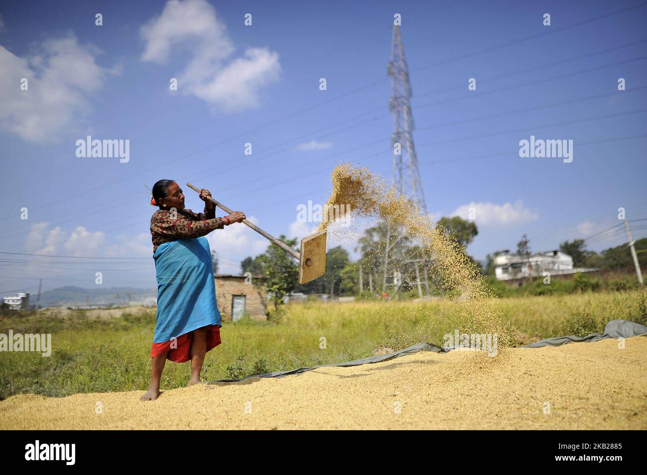 Rural woman winnowing wheat hi-res stock photography and images - Alamy