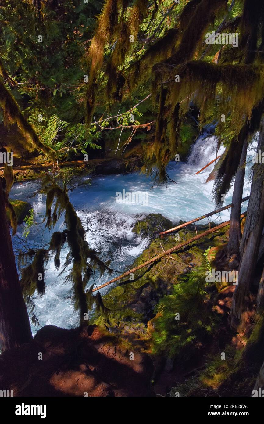 Sahalie Koosah Tamolitch falls hiking trail on McKenzie river ...
