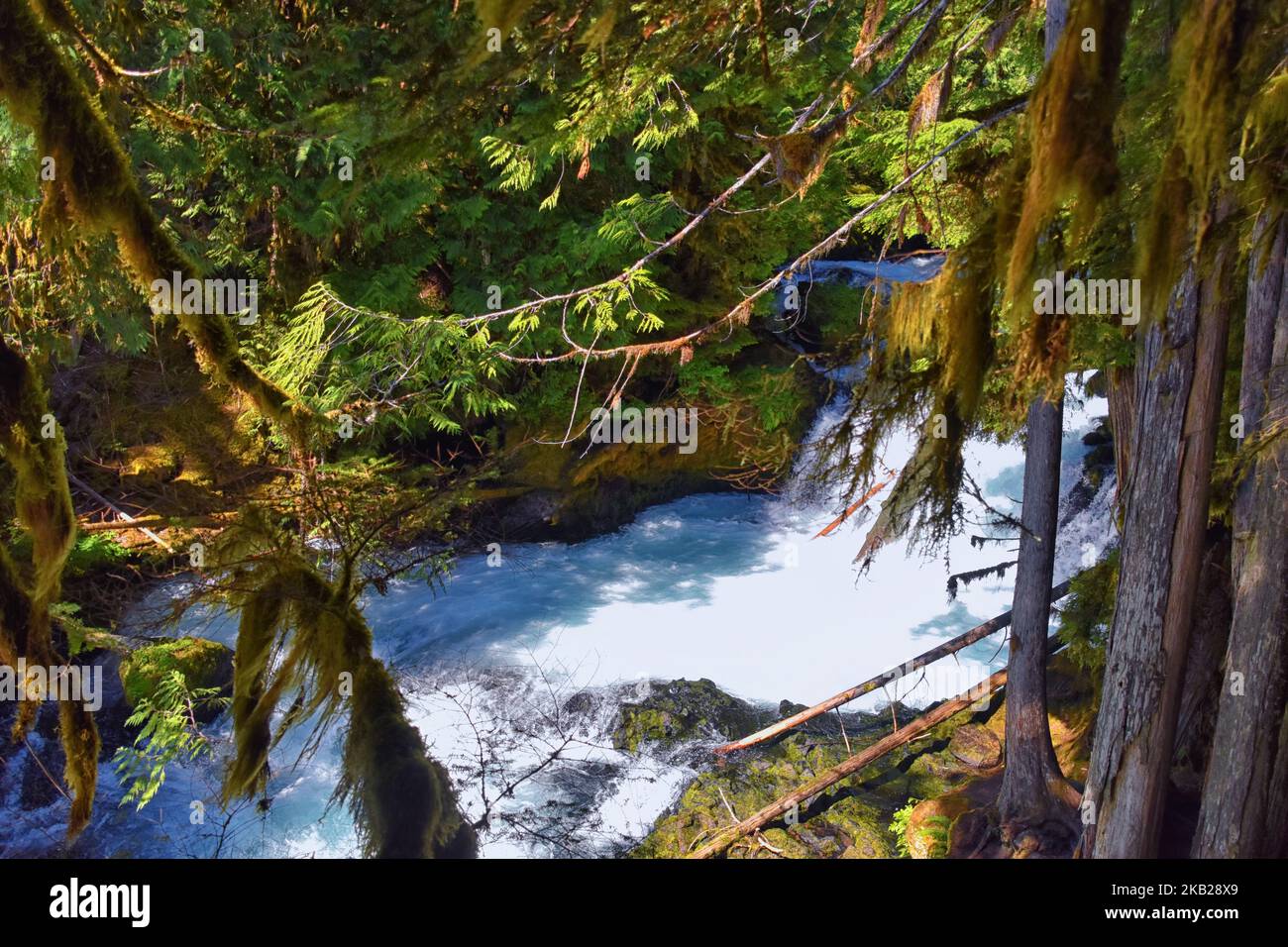 Sahalie Koosah Tamolitch falls hiking trail on McKenzie river ...