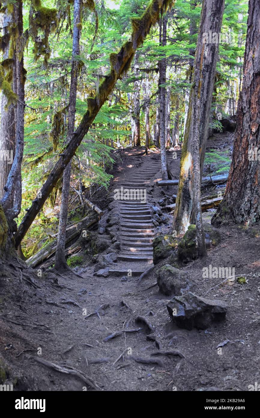 Sahalie Koosah Tamolitch falls hiking trail on McKenzie river ...