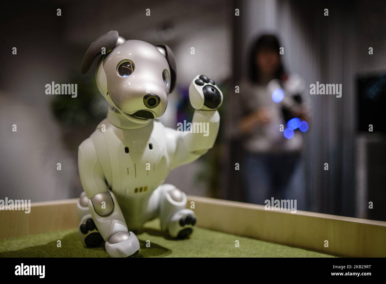 New Aibo pet robot is shown in the Sony Square Shibuya Project in Tokyo ...