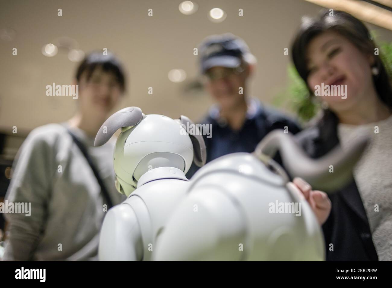 New Aibo pet robot is shown in the Sony Square Shibuya Project in Tokyo ... New Aibo pet robot is shown in the Sony Square Shibuya Project in Tokyo ...