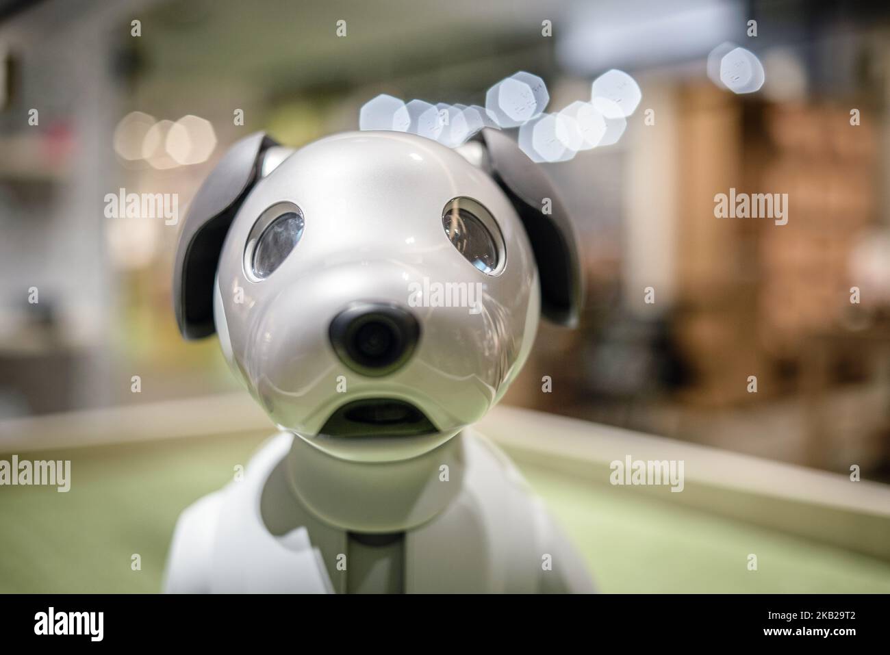 New Aibo pet robot is shown in the Sony Square Shibuya Project in Tokyo ...