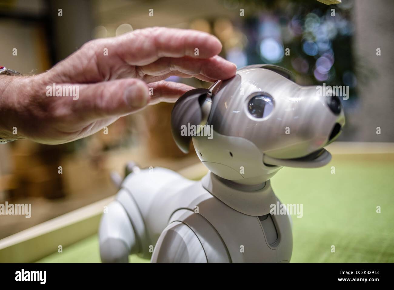 New Aibo pet robot is shown in the Sony Square Shibuya Project in Tokyo ...
