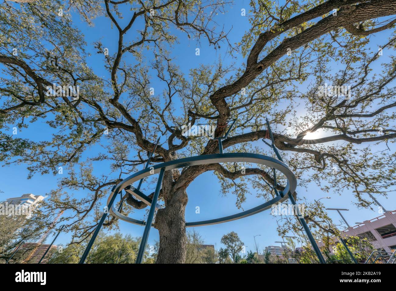 Waterloo park austin hi-res stock photography and images - Alamy