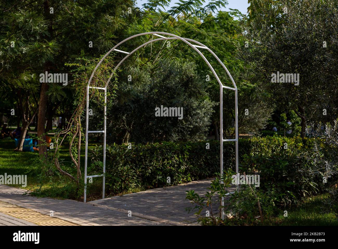for flowers arch trellis frame Stock Photo - Alamy