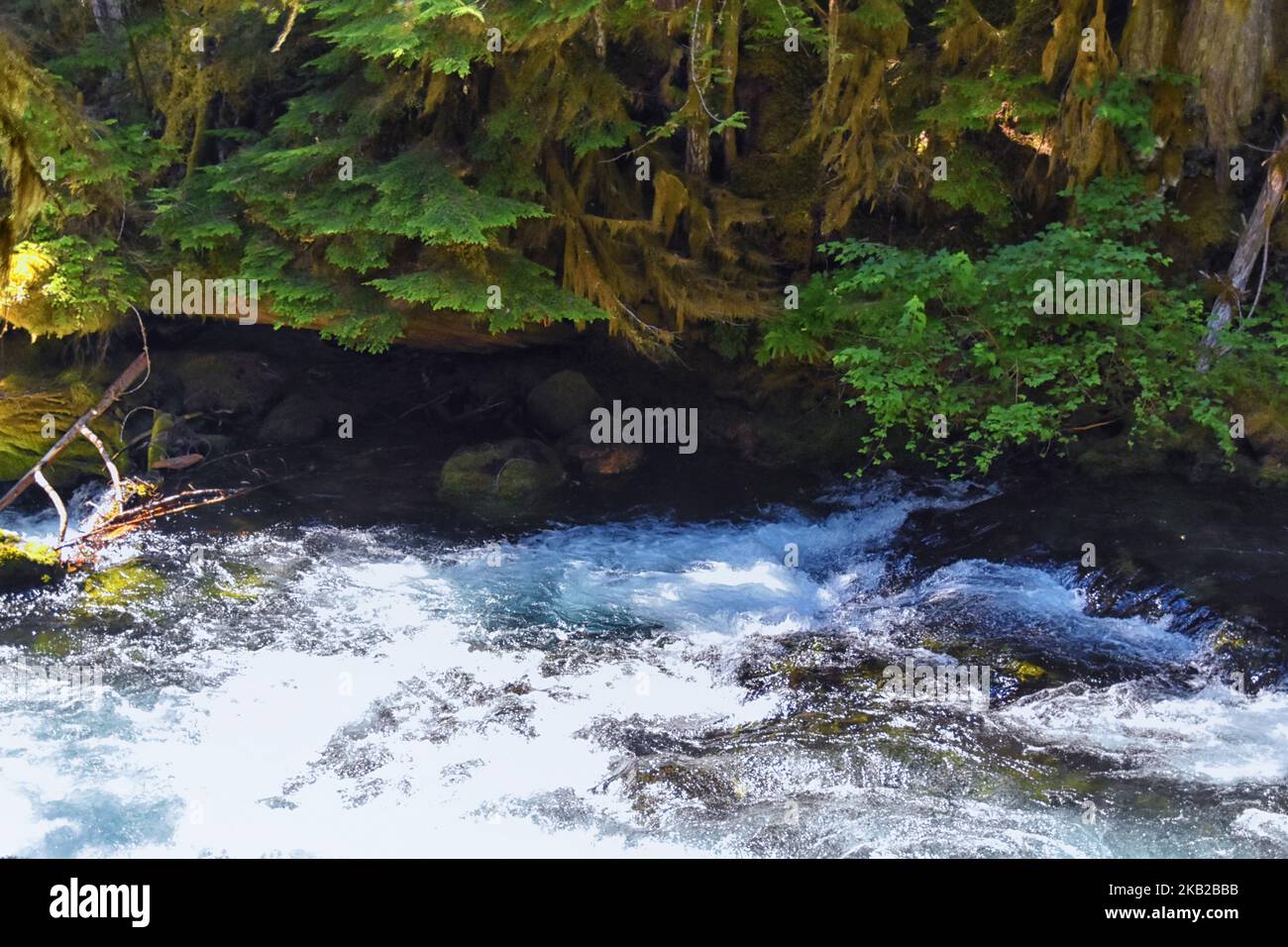 Sahalie Koosah Tamolitch falls hiking trail on McKenzie river ...